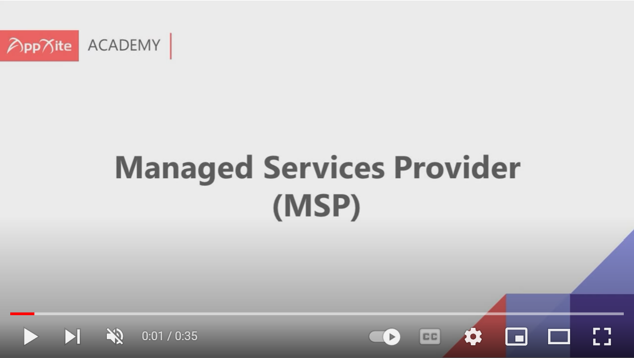 Managed Services Provider (MSP)